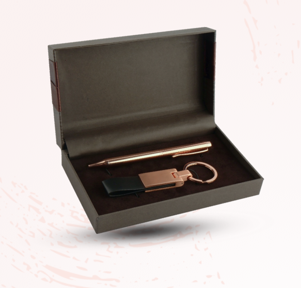 Premium Pen with Keychain Combo – Campus Ink
